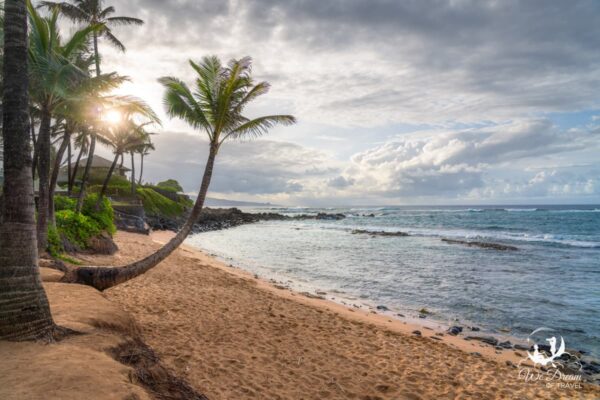 Mama's Fish House Beach (Kuau Cove): The Complete Guide ⋆ We Dream of ...