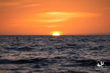 Official Hawaii Bucket List: Best Things to Do in Hawaii (All Islands)