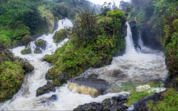 🌴 25 Best Road to Hana Stops: Ultimate 2024 Guide