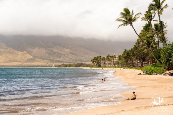 🏝 All 15 Kihei Beaches Explained: The Ultimate 2024 Guide ⋆ We Dream of ...