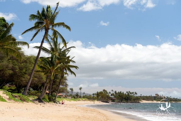 🏝 All 15 Kihei Beaches Explained: The Ultimate 2023 Guide ⋆ We Dream of ...