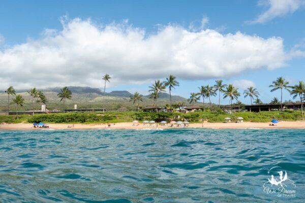 🏝 All 15 Kihei Beaches Explained: The Ultimate 2024 Guide ⋆ We Dream of ...