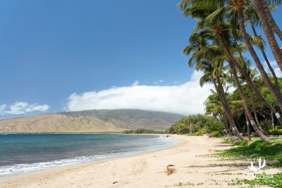 🏝 All 15 Kihei Beaches Explained: The Ultimate 2024 Guide ⋆ We Dream of ...