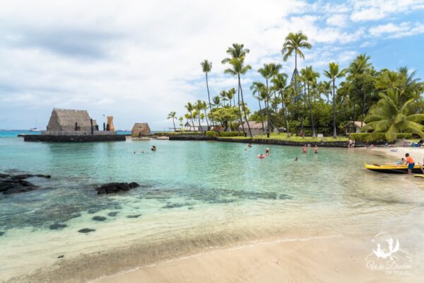 🤿 20 Best Spots & Tours for Snorkeling on the Big Island (2024)