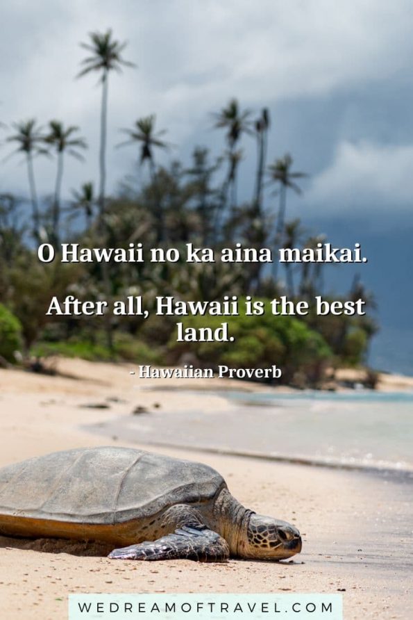🌺 200 Beautiful Hawaii Quotes, Sayings & Captions for Instagram