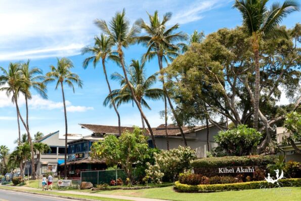 🌺 Top 10 Most Charming & Best Maui Towns to Visit in 2024