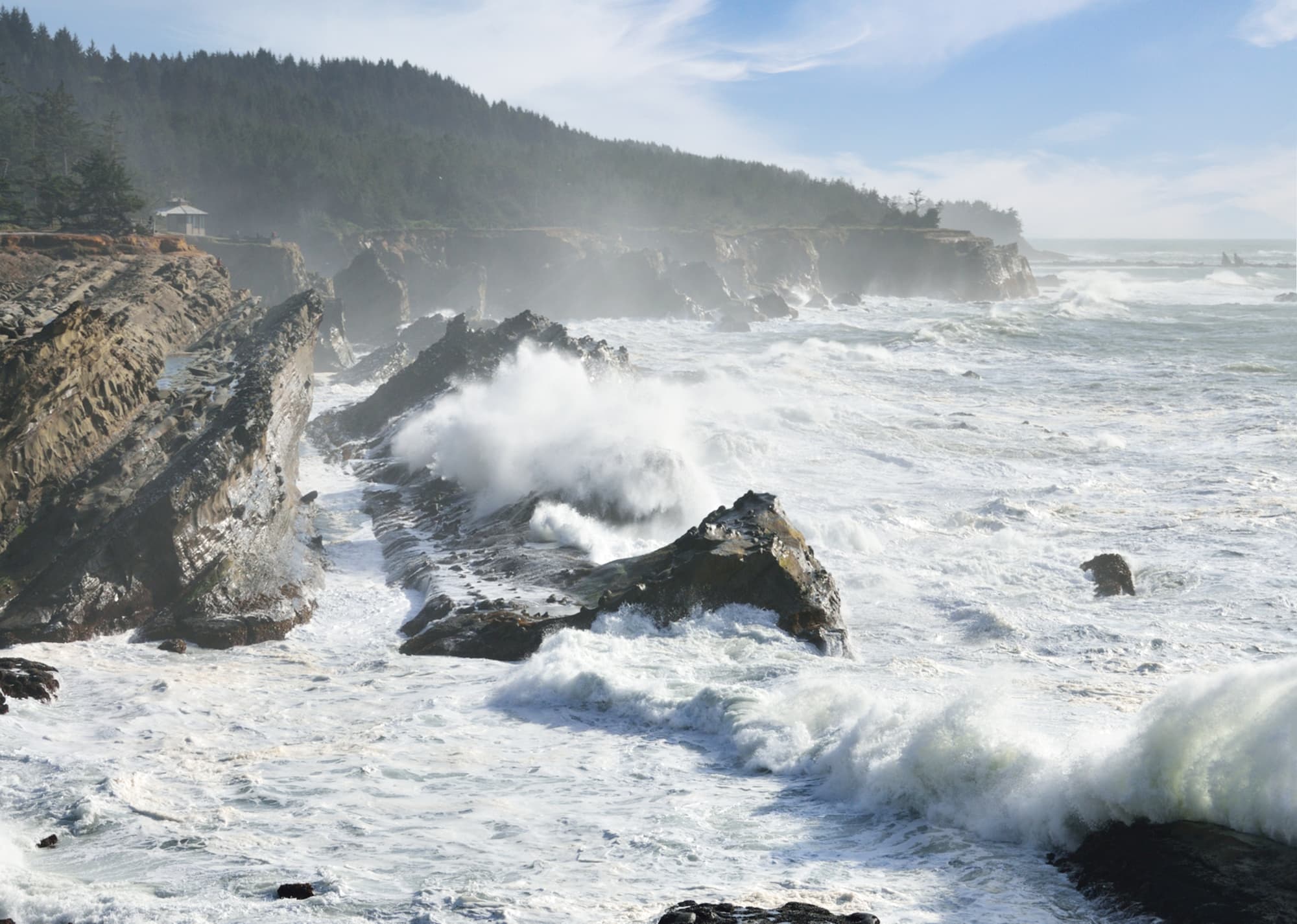 🌲 Top 25 Best State Parks in Oregon for Nature Lovers (2024)