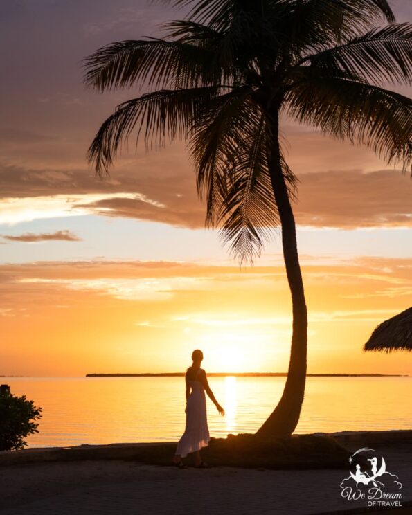 🏝 Key Largo vs Key West: Which to Choose & Why in 2024