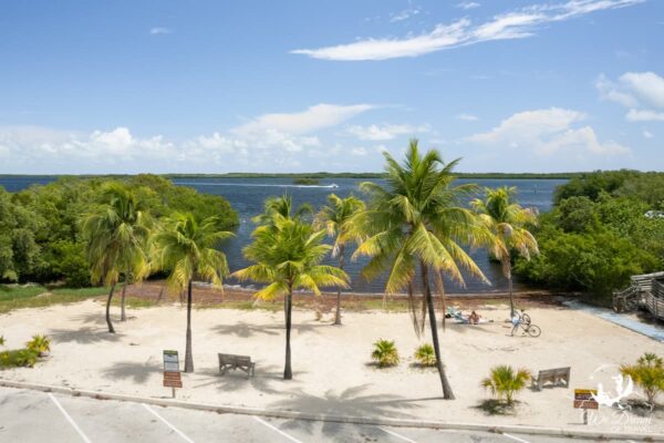 🏝 Key Largo vs Key West: Which to Choose & Why in 2024