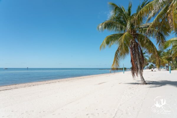 🏝 Ultimate Key West to Key Largo Road Trip Guide (2024)