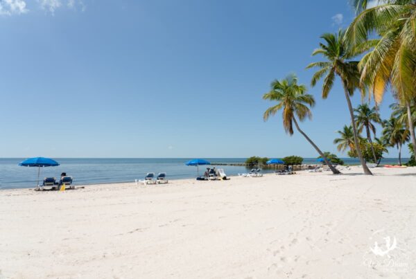 🏝 Key Largo vs Key West: Which to Choose & Why in 2024