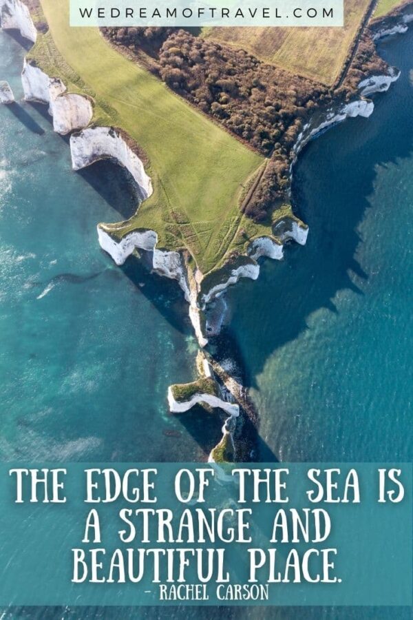 🌊 165 Best Ocean Quotes and Captions + Originals (2024)