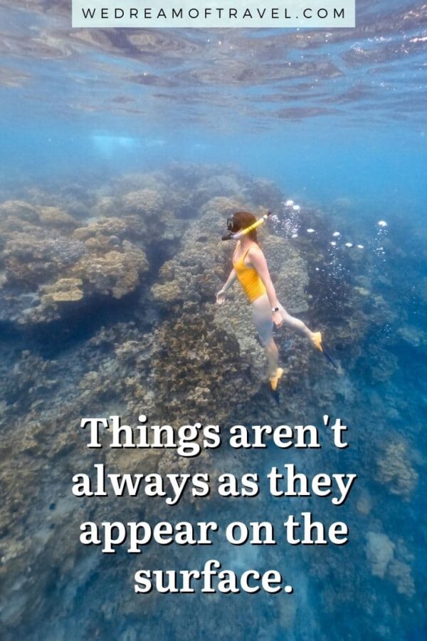 🌊 165 Best Ocean Quotes and Captions + Originals (2024)