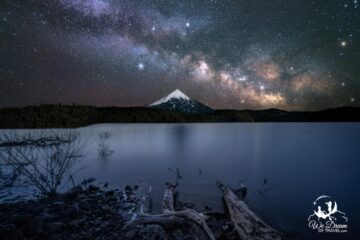 🌲 25 Epic Things to Do in Southern Oregon: 2024 Bucket List