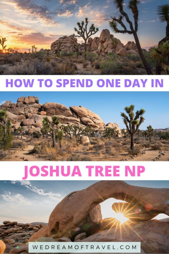 🏜 The Perfect Day Trip to Joshua Tree Itinerary for 2024