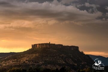 🌲 Ultimate Oregon Bucket List: 150 Best Things to Do Statewide