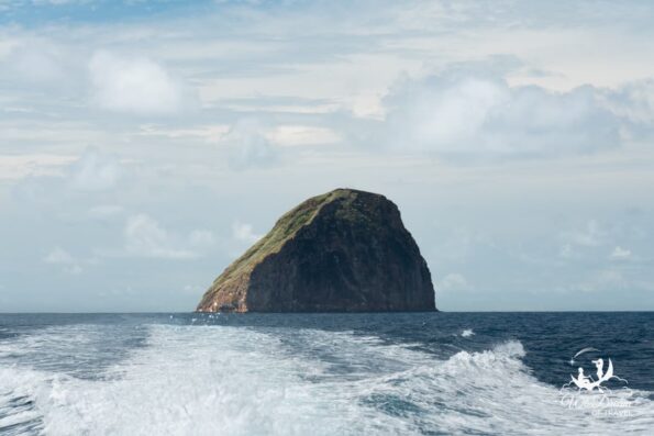 🤿 Isla Pinzon Ultimate Guide: Why & How to Visit (2024)