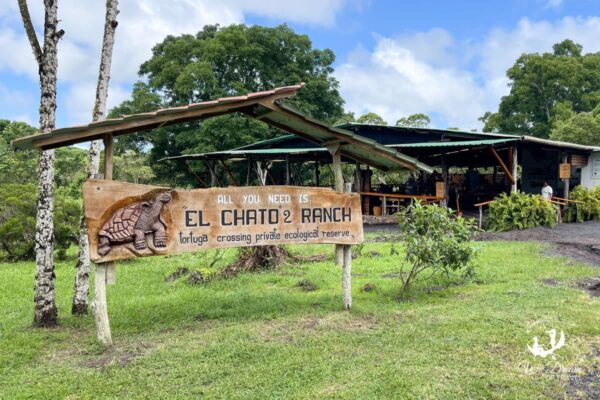 🐢 El Chato Ranch (Galapagos): 2024 Ultimate Guide