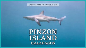 🤿 Isla Pinzon Ultimate Guide: Why & How to Visit (2024)