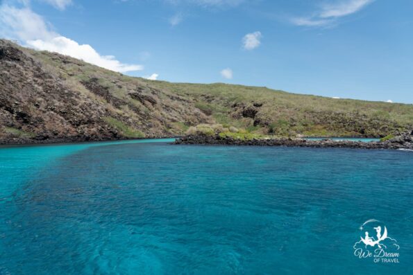 🤿 Isla Pinzon Ultimate Guide: Why & How to Visit (2024)