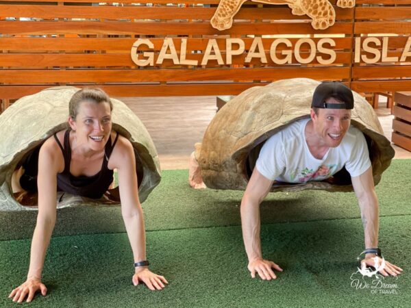 🐢 El Chato Ranch (Galapagos): 2024 Ultimate Guide
