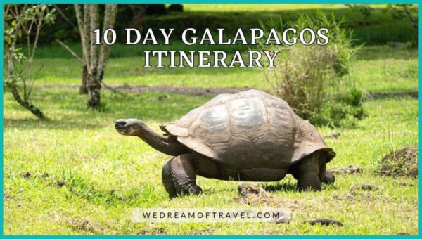🐢 The Only 10 Day Galapagos Itinerary You'll Need (2024)