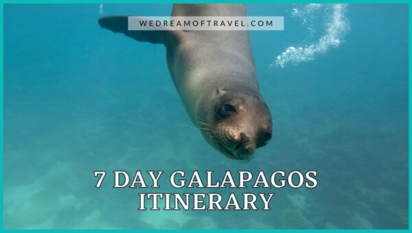 🐢 The PERFECT 7 Day Galapagos Itinerary Your First Visit (2024)