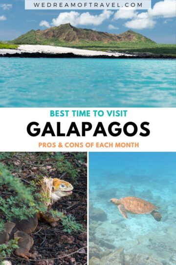 🏝 Best Time to Visit Galapagos: Pros & Cons for Each Month