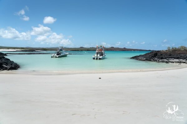 🐢 The PERFECT 5 Day Galapagos Itinerary for First Visits (2024)