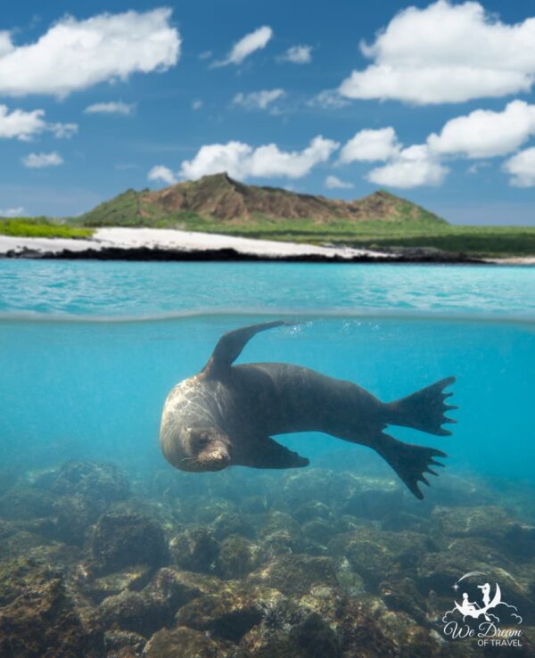 🏝 Best Time to Visit Galapagos: Pros & Cons for Each Month