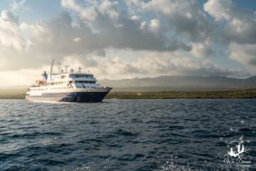 🐢 How to Travel to the Galapagos Islands in 10 Easy Steps (2024)