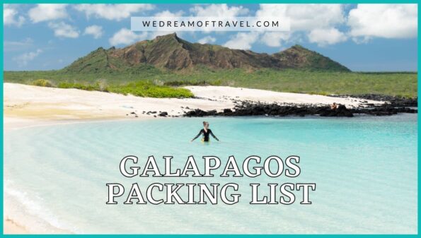 🐢 How to Travel to the Galapagos Islands in 10 Easy Steps (2024)