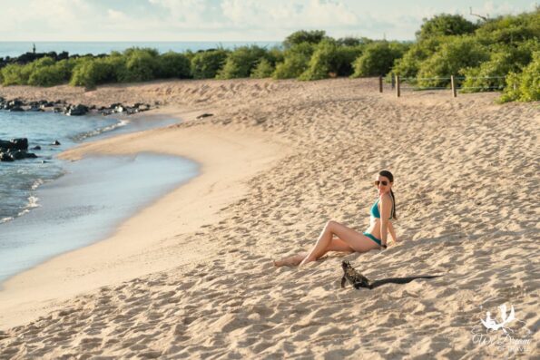 🐢 How to Travel to the Galapagos Islands in 10 Easy Steps (2024)