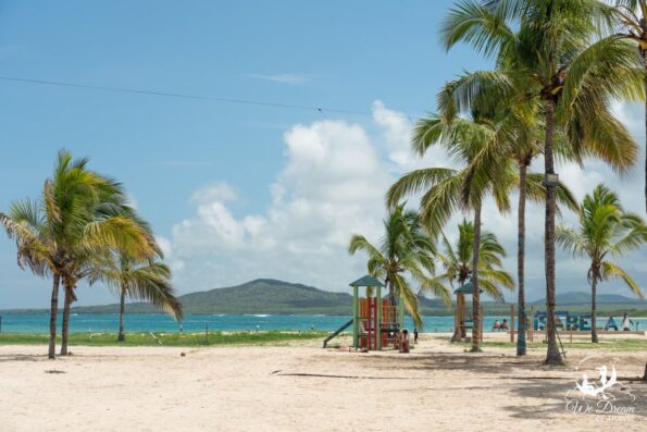 🏝 Isabela Island, Galapagos: Ultimate Guide for First Visits (2024)