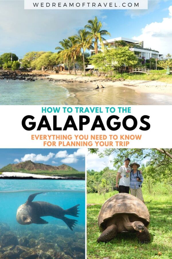 🐢 How to Travel to the Galapagos Islands in 10 Easy Steps (2024)