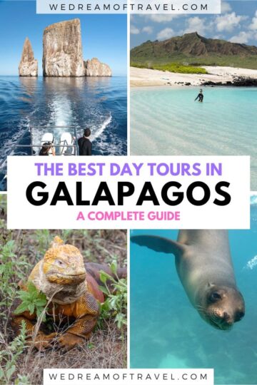 🐢 29 Best Galapagos Day Tours for an Epic Vacation (2024)