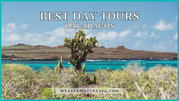 🐢 How to Travel to the Galapagos Islands in 10 Easy Steps (2024)